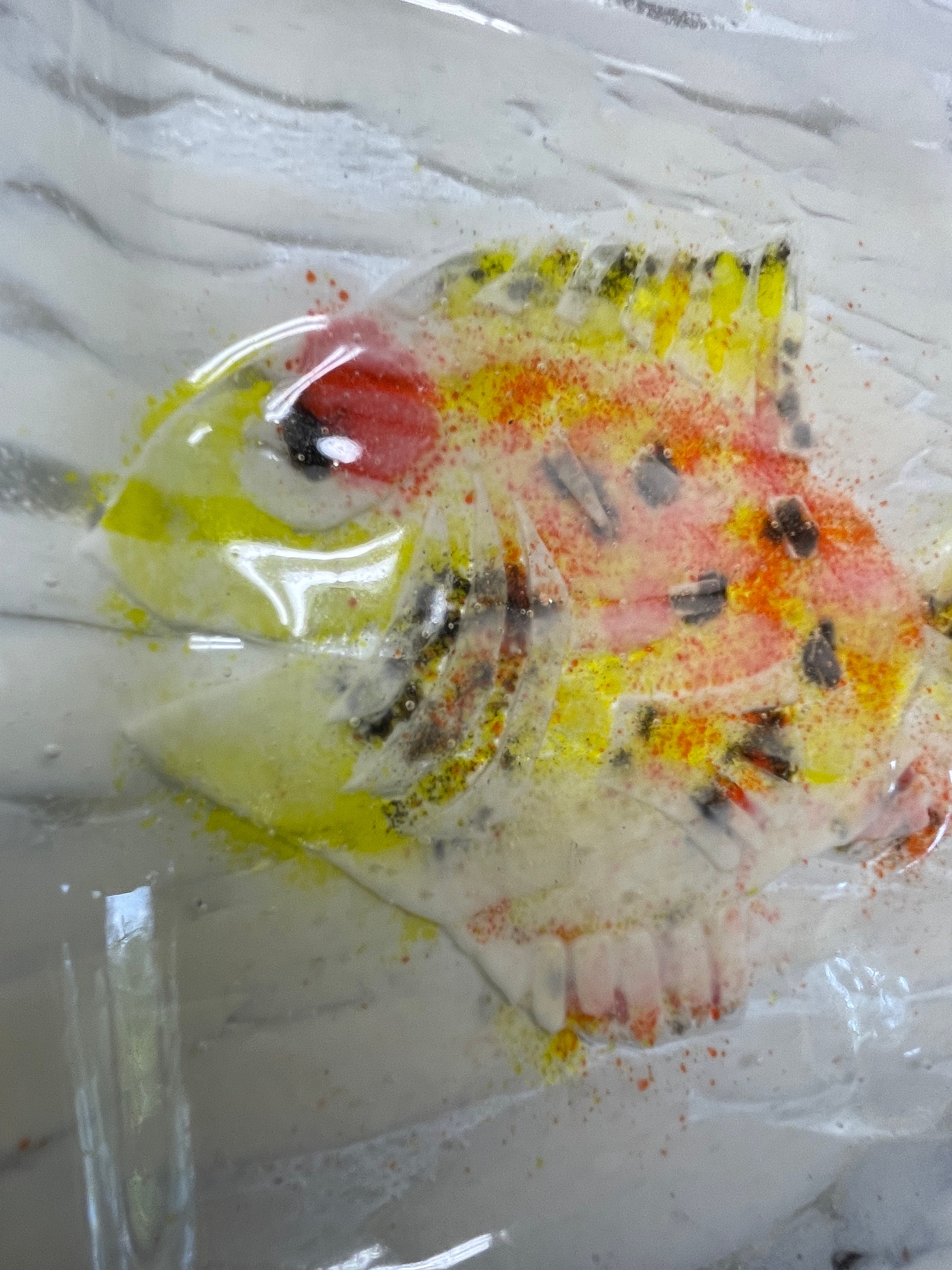 Fused Glass Kiln Carved Fish Plate Home Decor, Unique Gift - Etsy