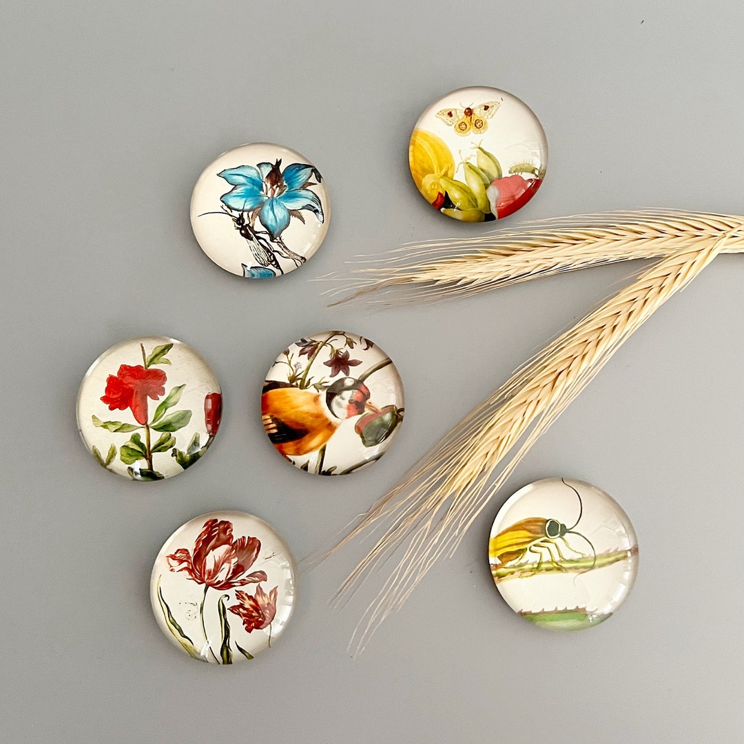 Cottagecore Botanica Magnets Set Butterfly Flowers Insect Bird Magnets ...