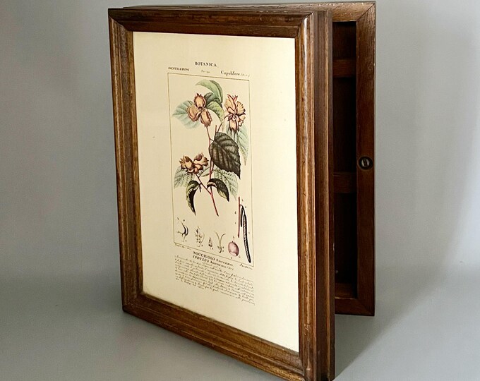 Botanica Wall Key Box With Glass Door Key Storage Dark Brown Wood 6 ...