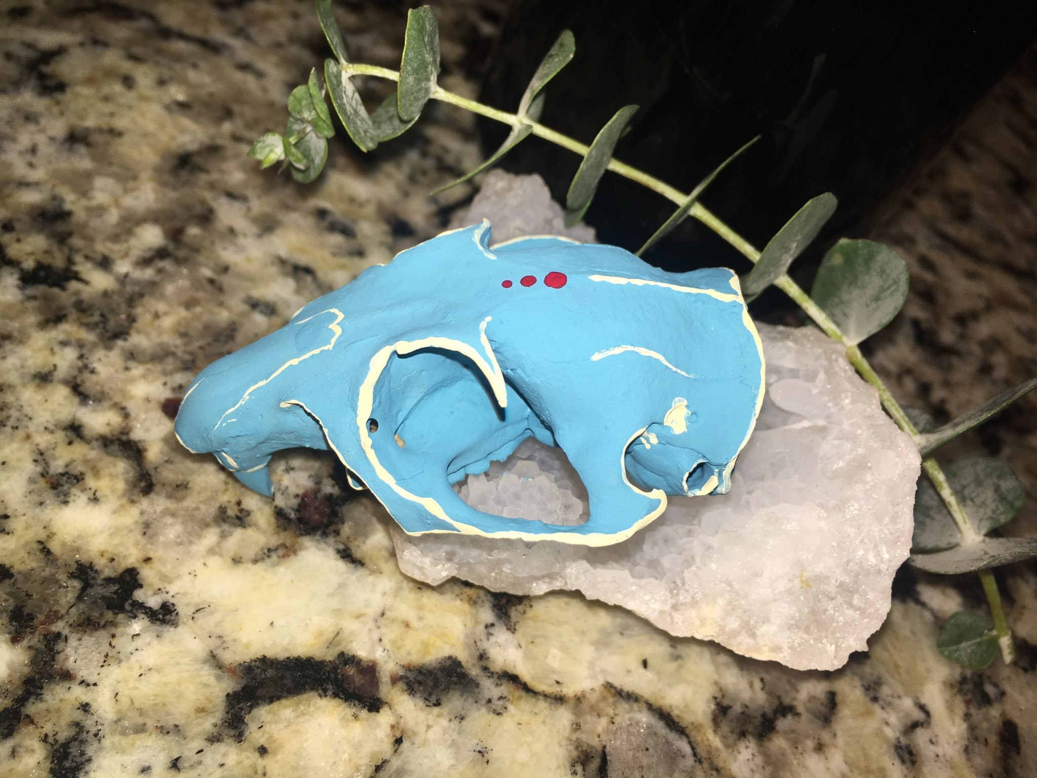 Mystical Hand-painted Prairie Dog Skulls Hanging Unique - Etsy