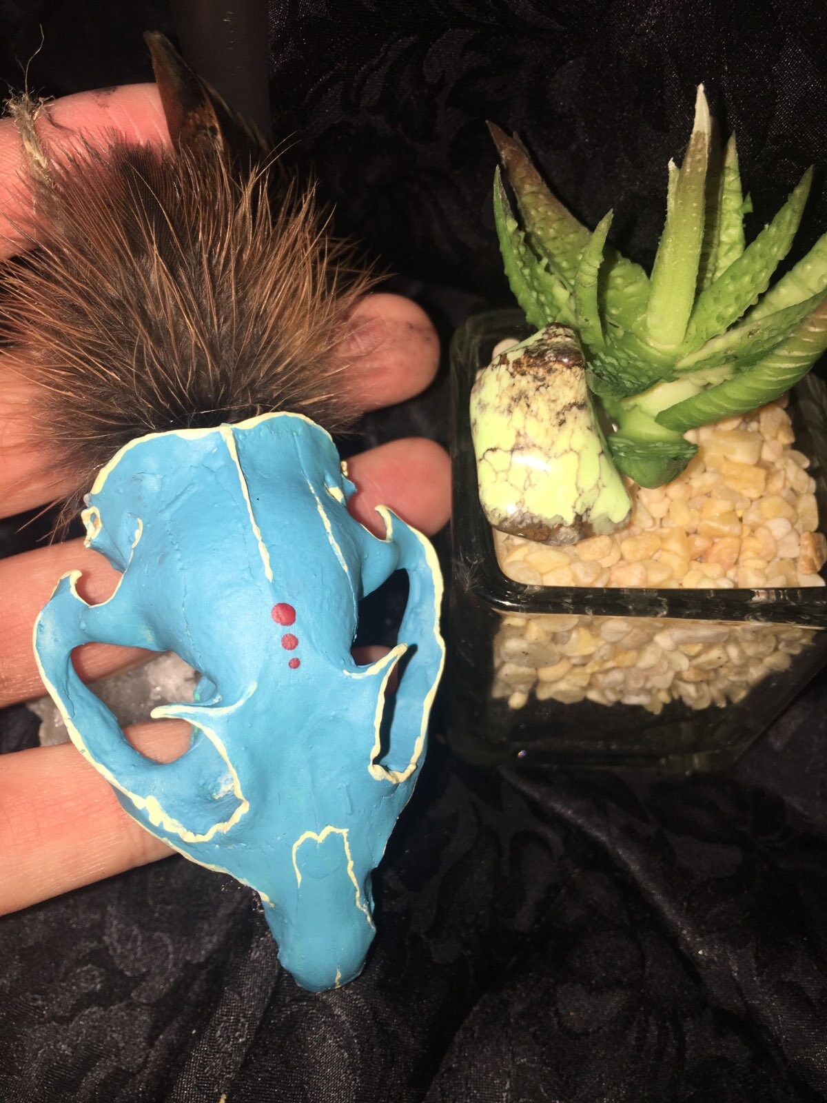 Mystical Hand-painted Prairie Dog Skulls Hanging Unique - Etsy