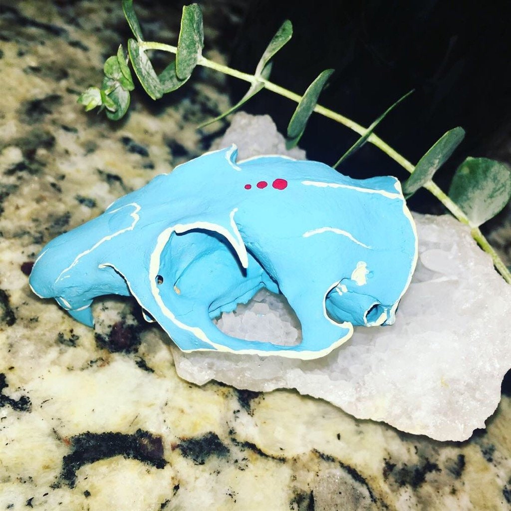 Mystical Hand-painted Prairie Dog Skulls Hanging Unique - Etsy