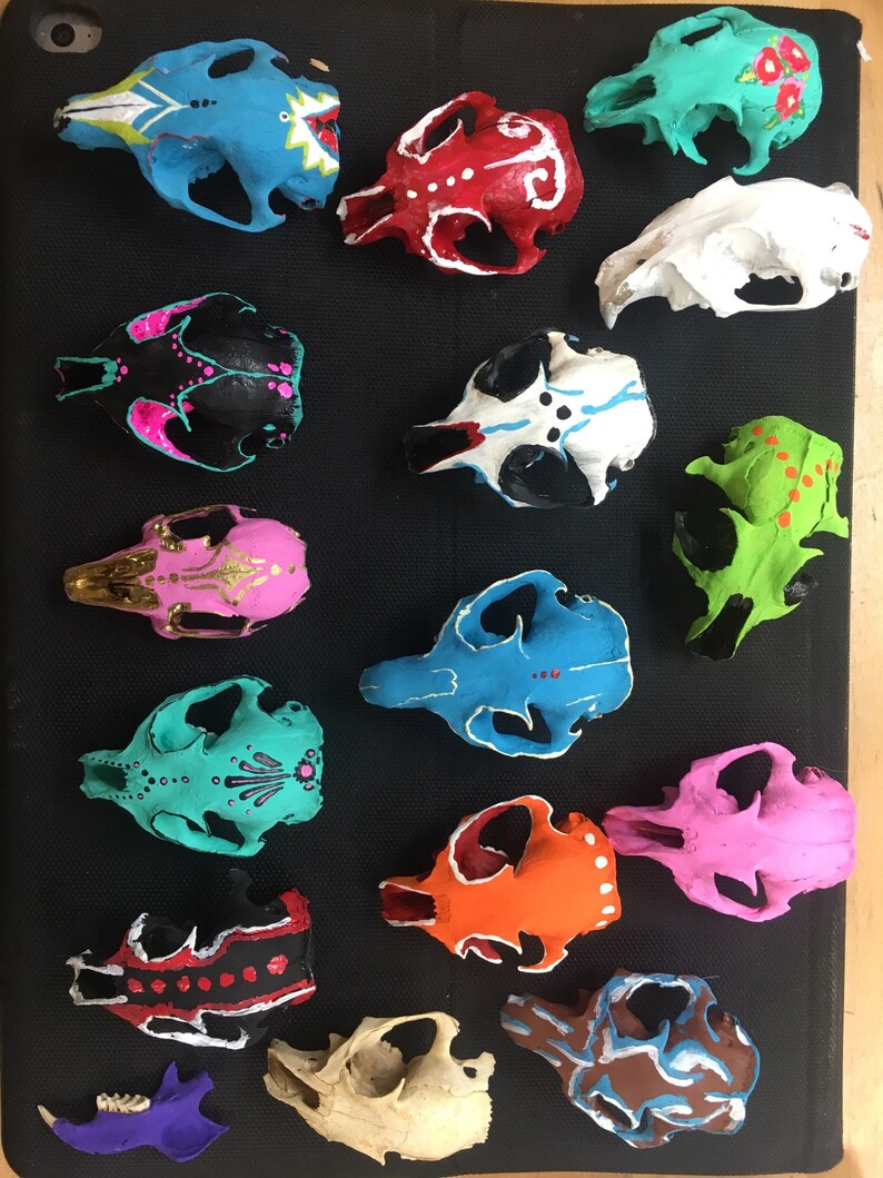 Mystical Hand-painted Prairie Dog Skulls Hanging Unique - Etsy