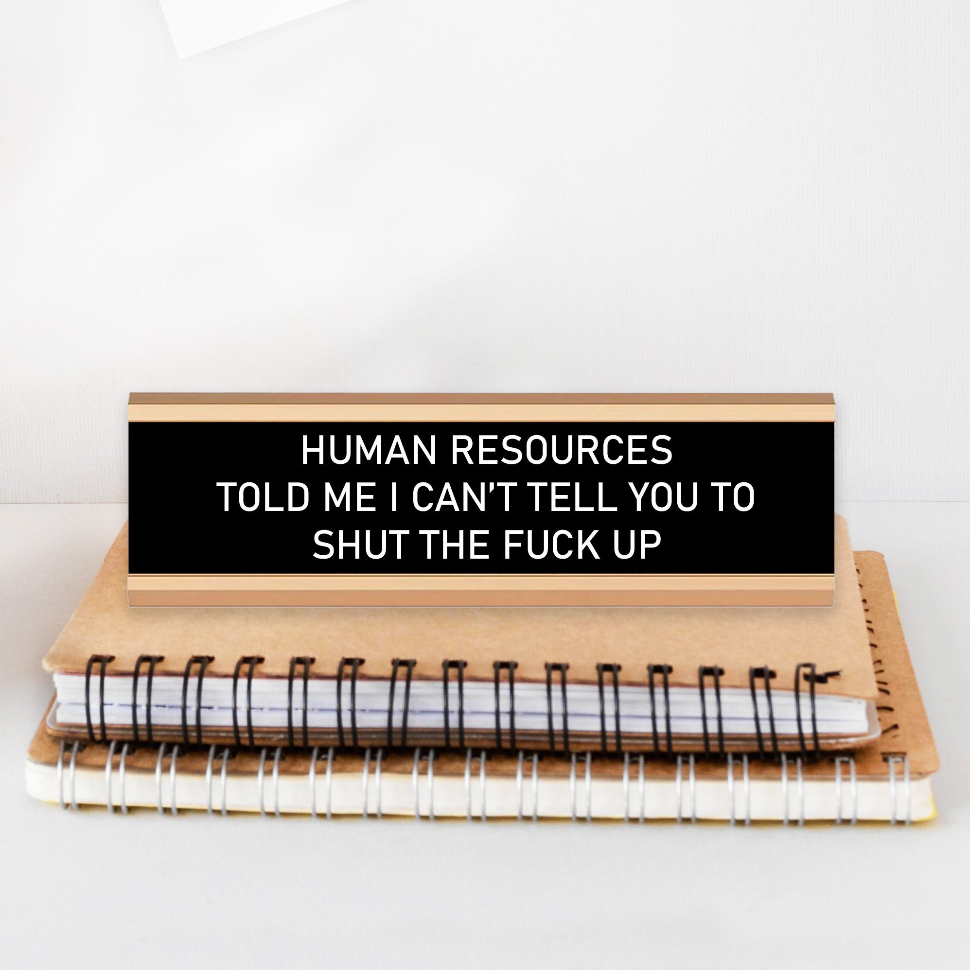 Funny Desk Name Plate, Gift for Coworker, Funny White Elephant Gift ...
