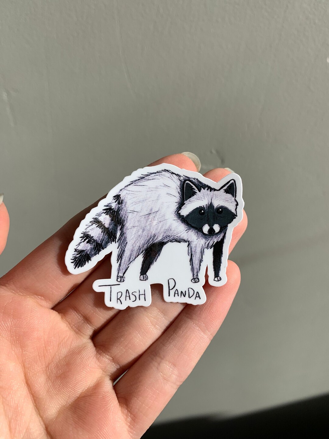 Cute Trash Panda Raccoon Sticker - Etsy