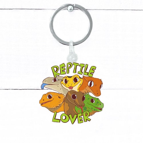 Sulcata Tortoise Cute Turtle Reptile Sticker Gift | Etsy