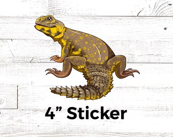 Box Turtle Sticker Turtle Sticker Reptile Sticker Vinyl - Etsy