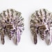 2 Pcs Bohemian Skull Conchos Skull Concho Southwestern - Etsy
