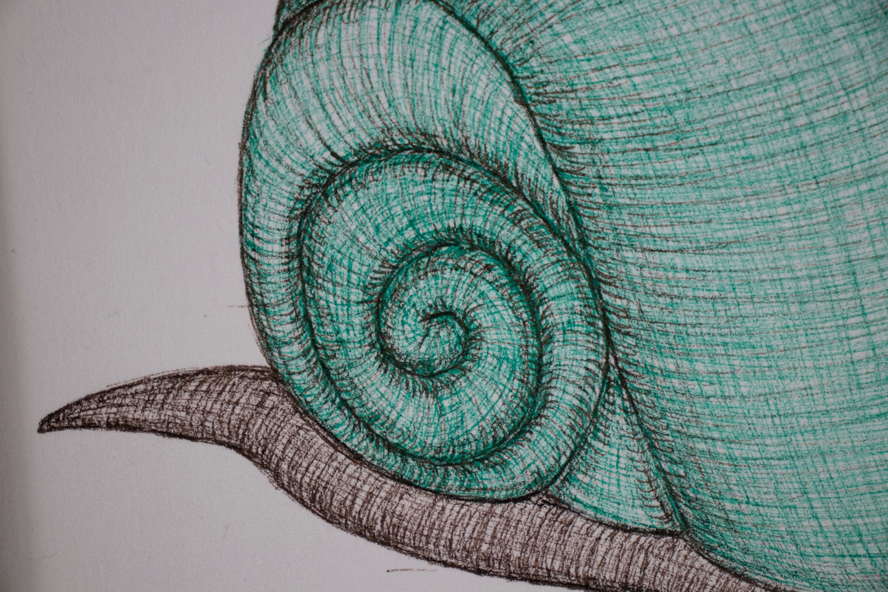 Hand Drawn Pen and Ink Wall Hanging Snail - Etsy
