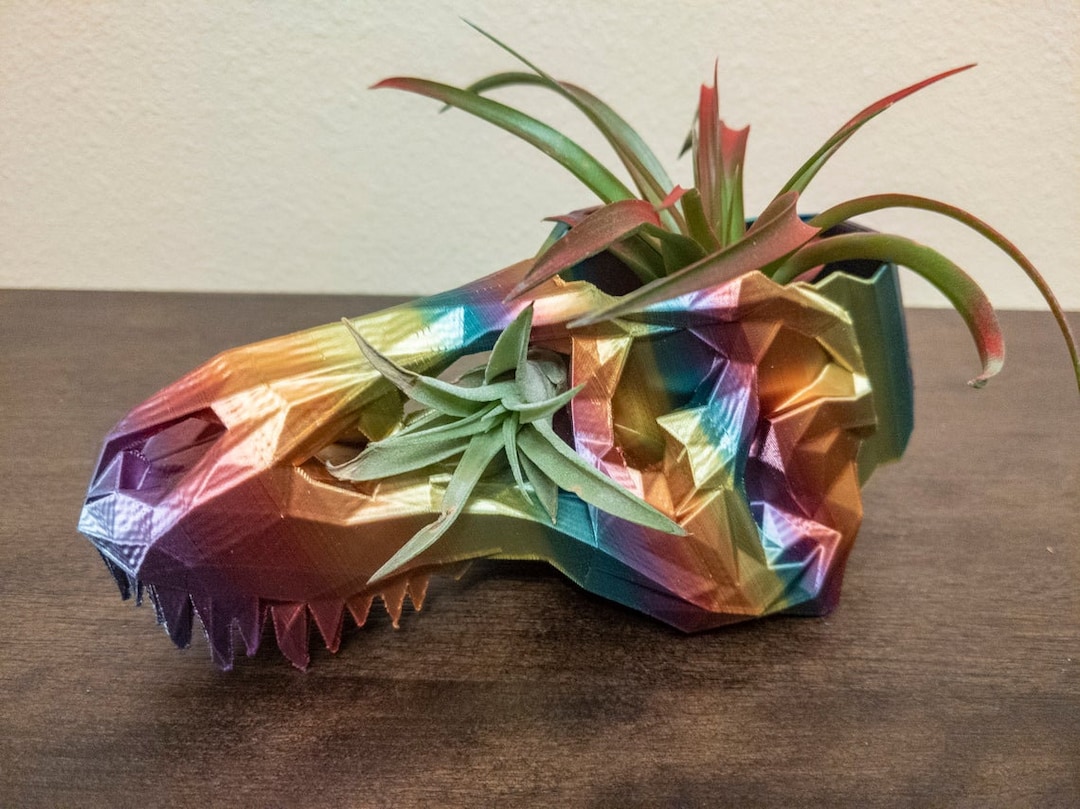 T-bone the T-rex Skull Planter With Plants - THE ORIGINAL! - Nontoxic ...