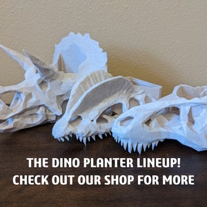 Diplo the Dilophosaurus Dino Pot With Plants, Skull Air Plant Planter ...
