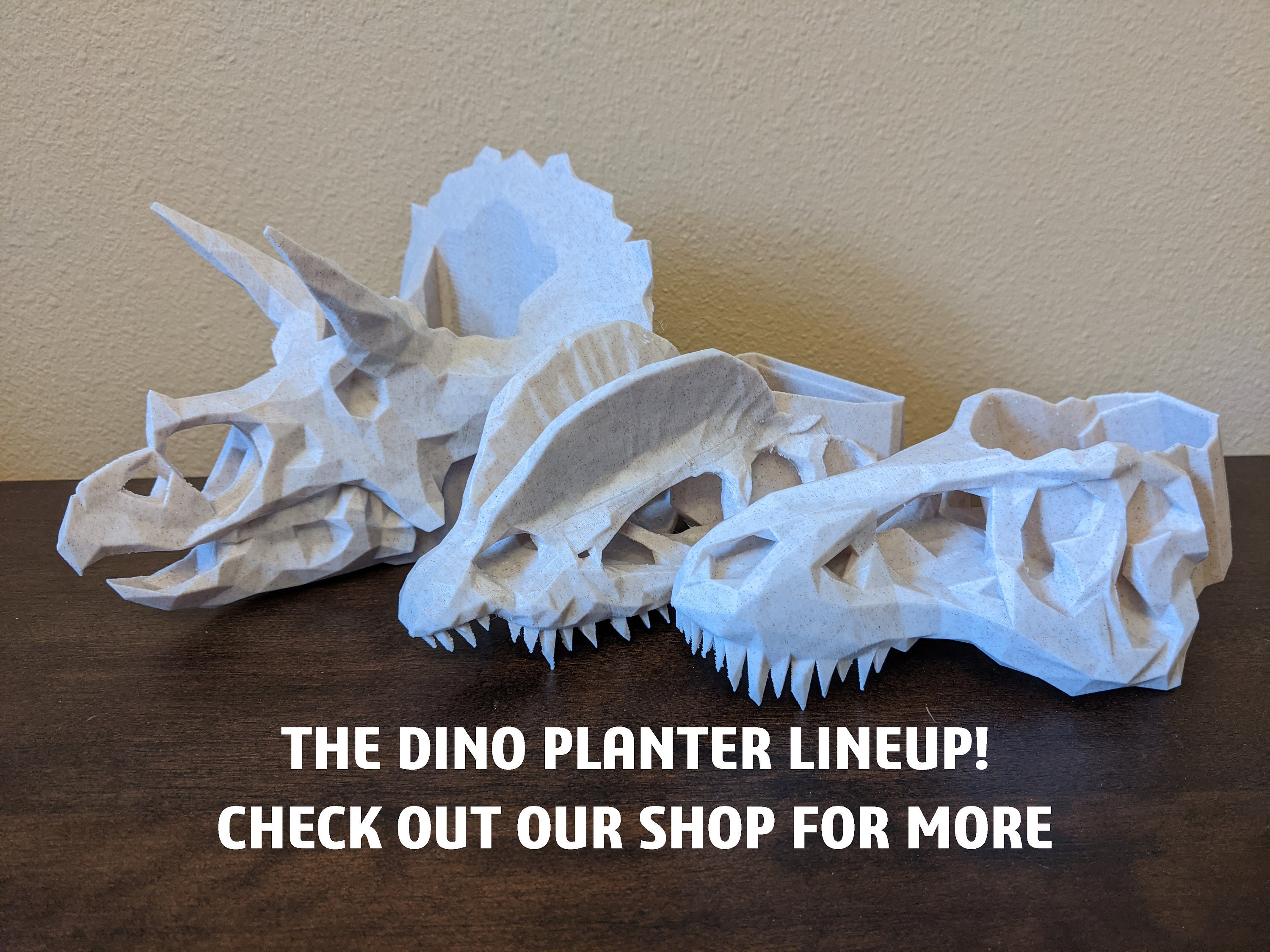 Diplo the Dilophosaurus Dino Pot With Plants Skull Air Plant - Etsy