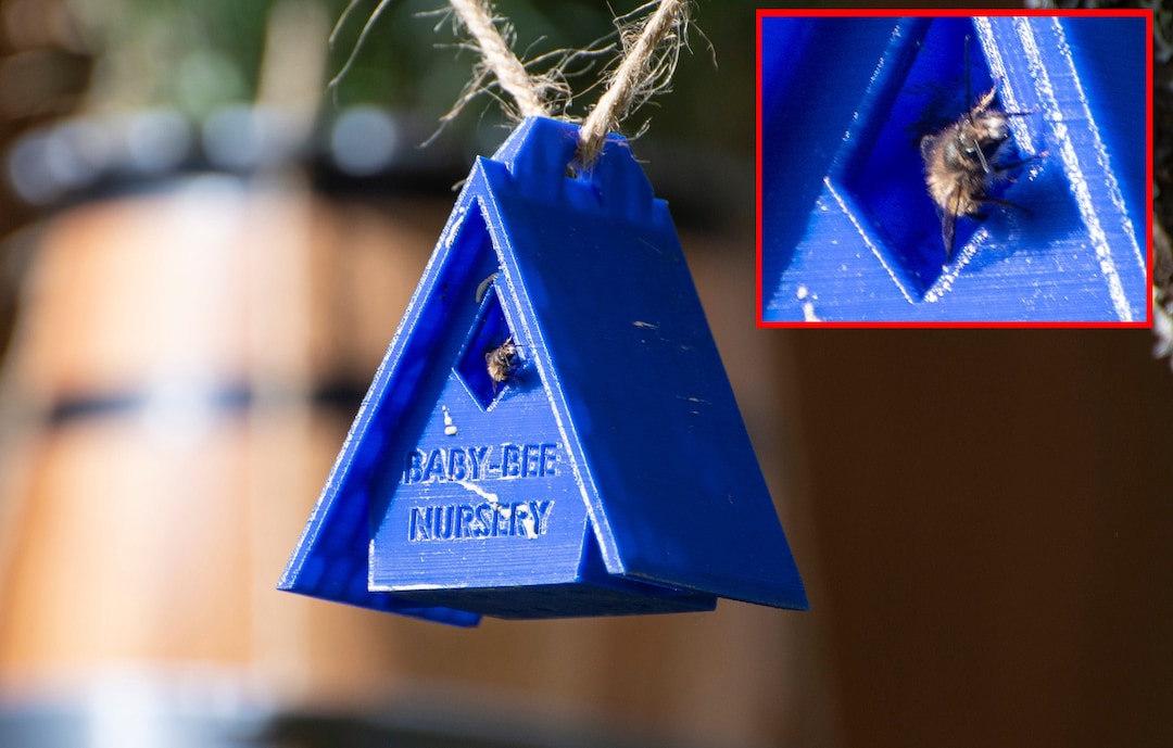 Mason Bee Hatching Box - the Baby-bee Nursery - Nontoxic Material - Etsy