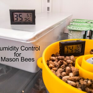Stackable Mason Bee Cocoon Storage Fridge Humidity Container - Etsy