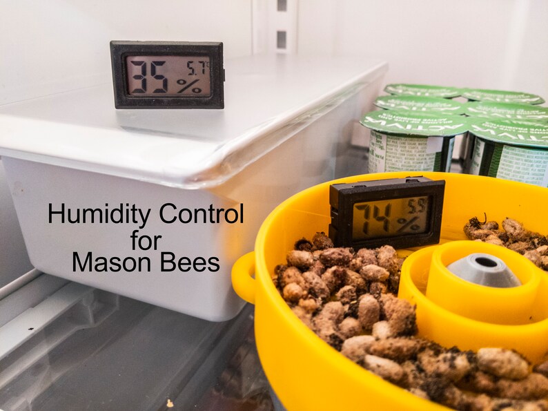 Stackable Mason Bee Cocoon Storage Fridge Humidity Container - Etsy