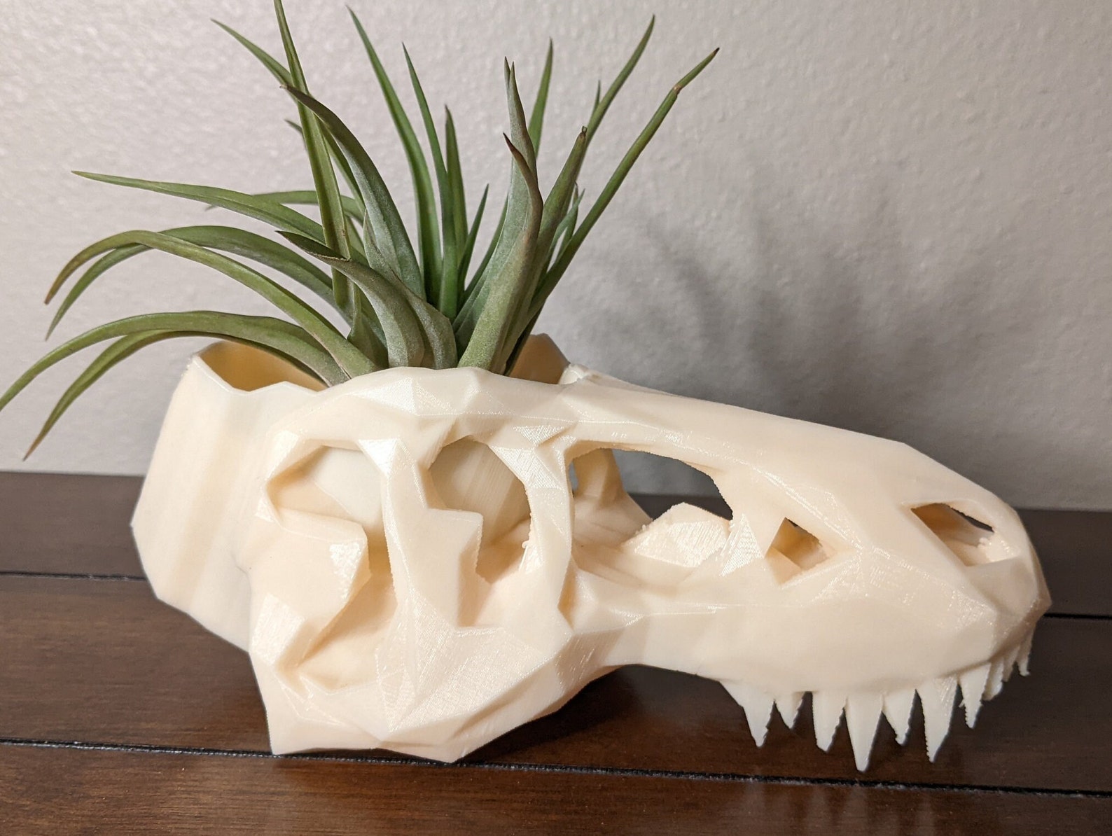 T-bone the T-rex Skull Planter With Plants THE ORIGINAL - Etsy