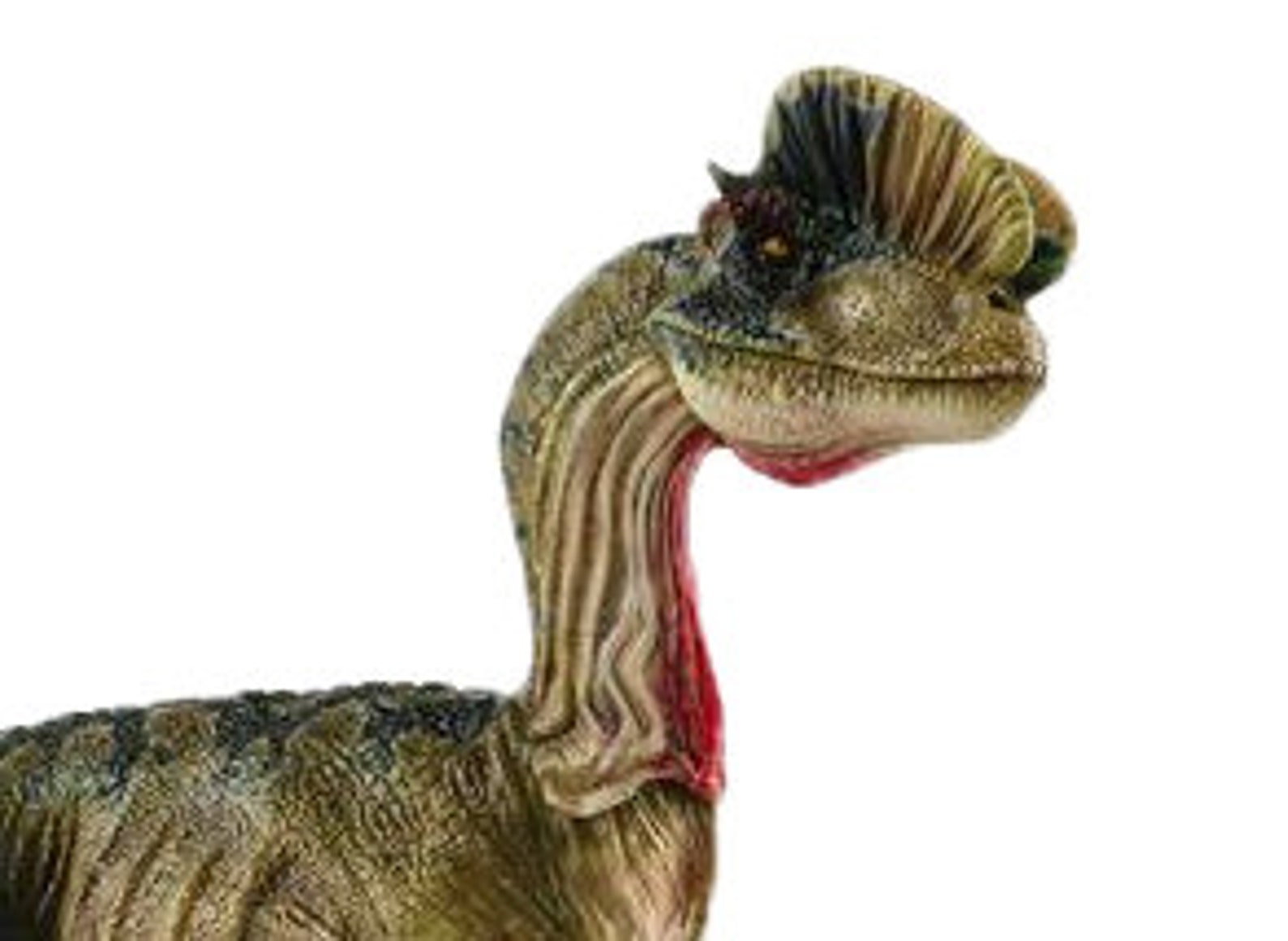 Diplo the Dilophosaurus Dino Pot With Plants Skull Air Plant - Etsy