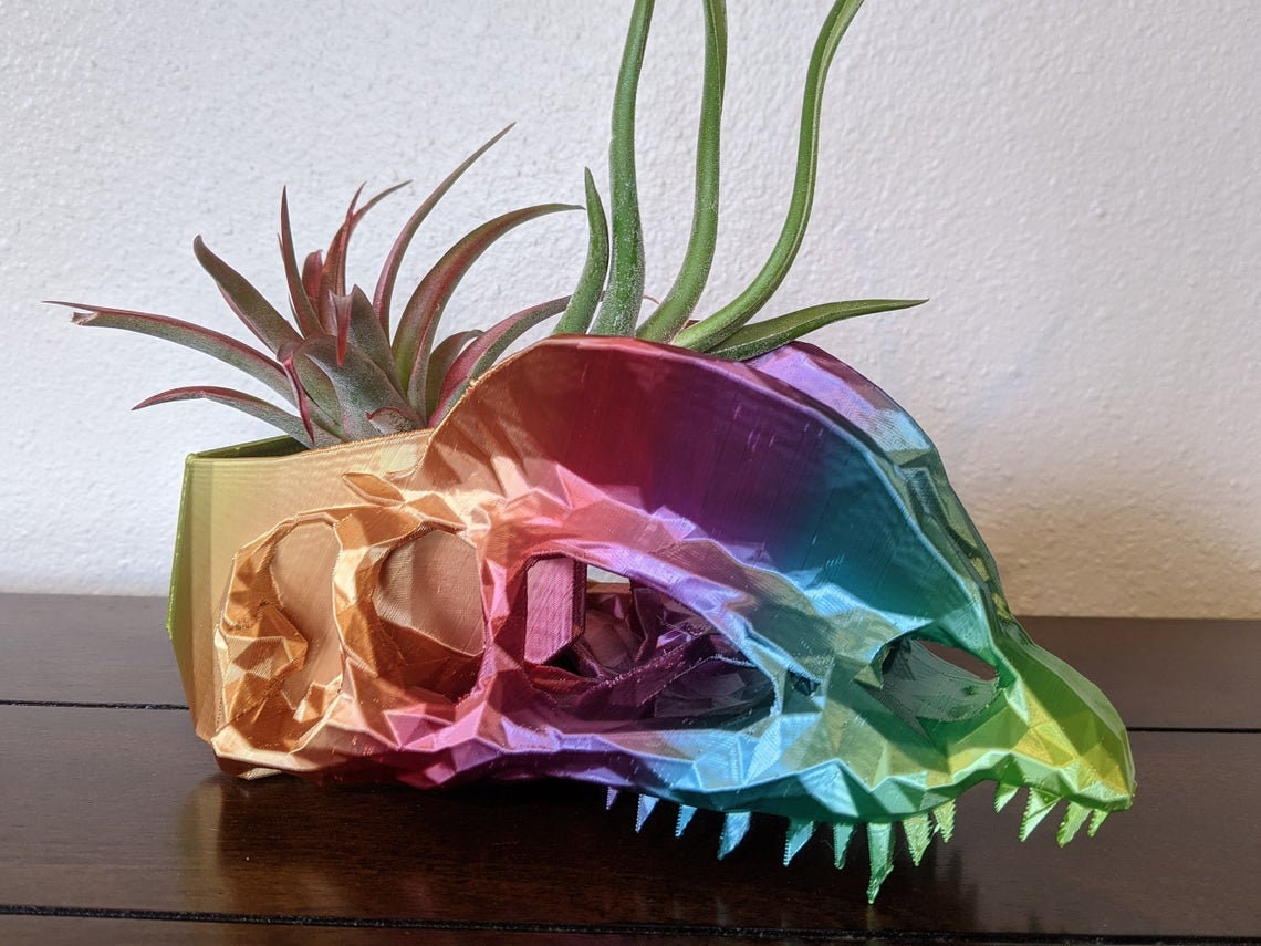 Diplo the Dilophosaurus Dino Pot With Plants, Skull Air Plant Planter ...