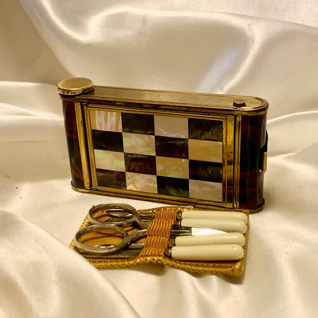 Vintage German Kamra or Camera Mother of Pearl Carryall. Gorgeous ...