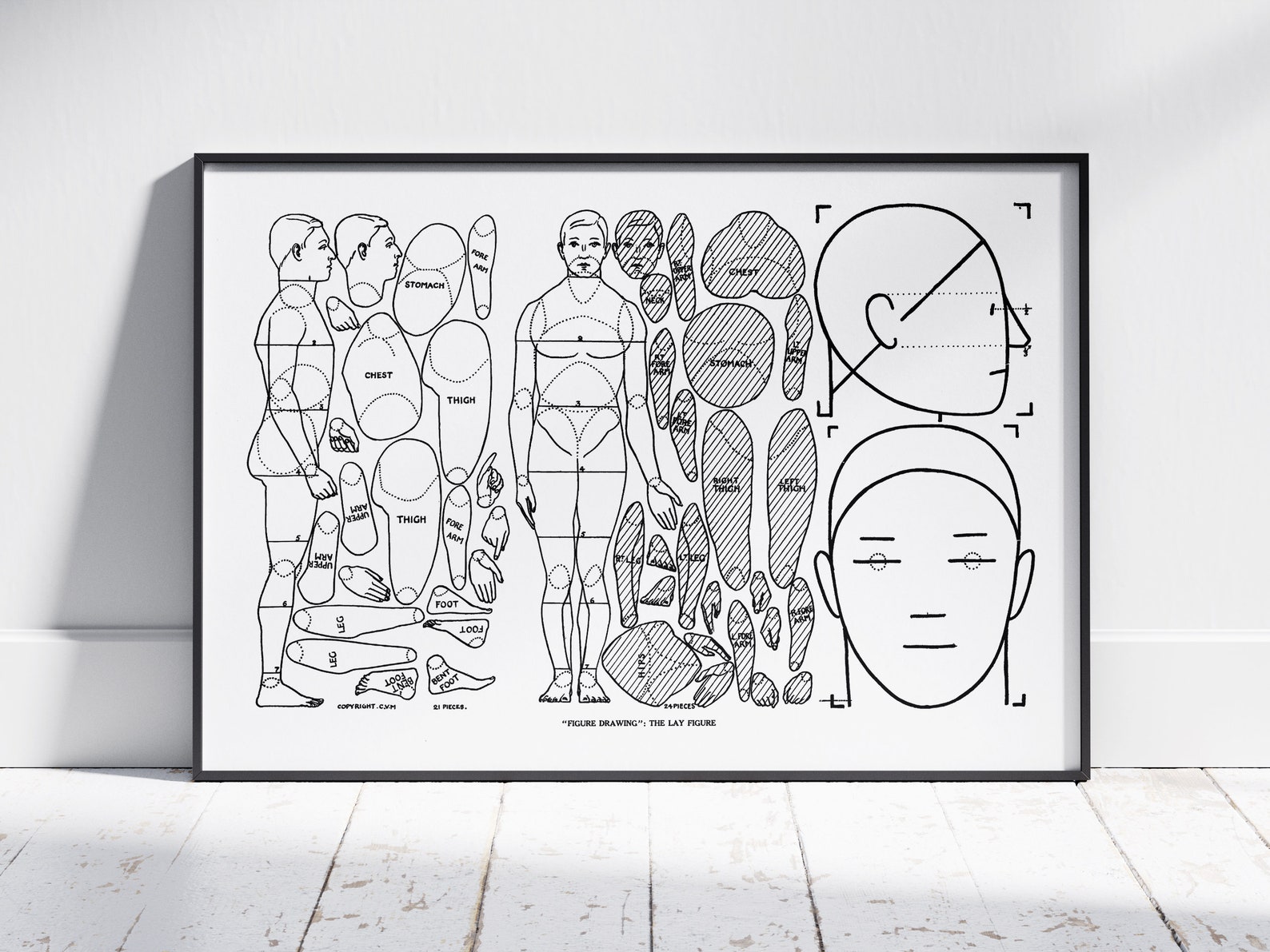 Human Anatomy Chart, Vintage School Poster, Vintage Human Figure Poster ...