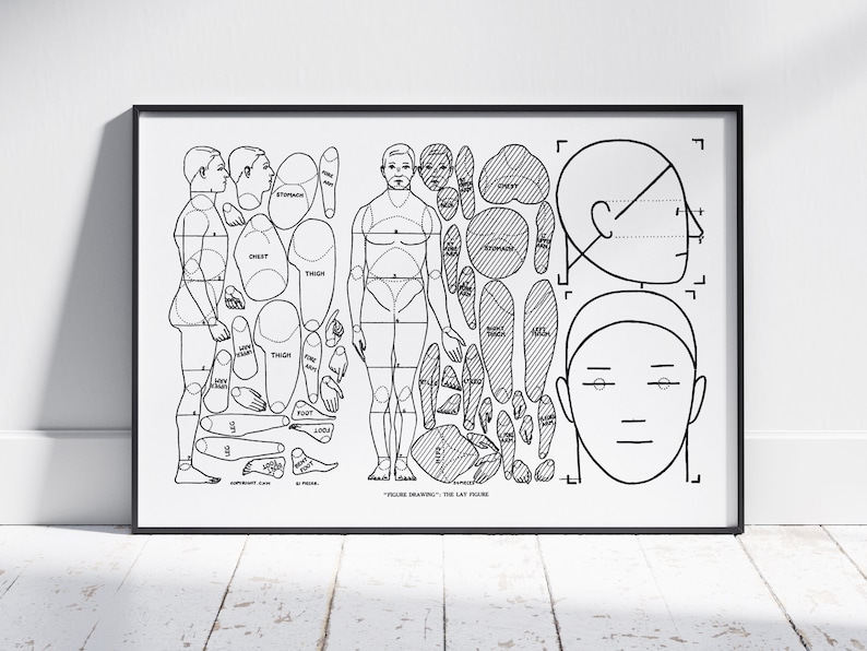 Human Anatomy Chart, Vintage School Poster, Vintage Human Figure Poster ...