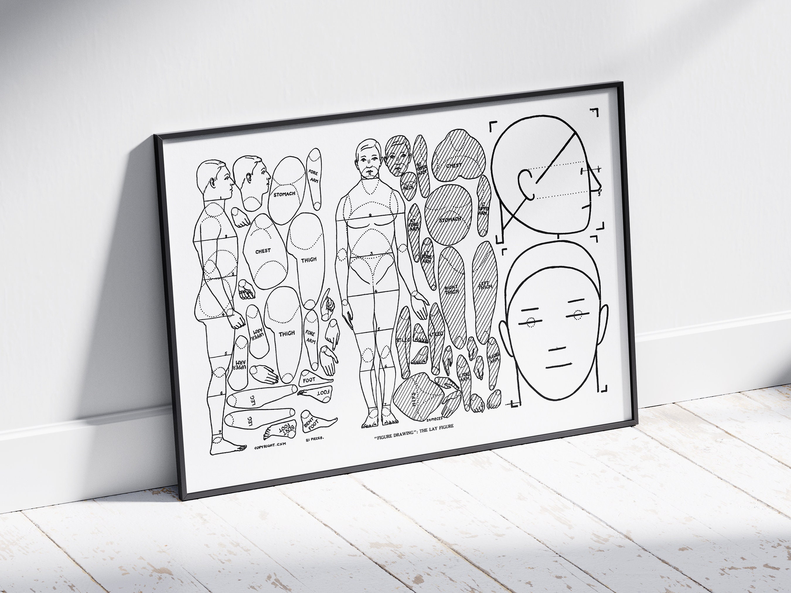 Human Anatomy Chart, Vintage School Poster, Vintage Human Figure Poster ...