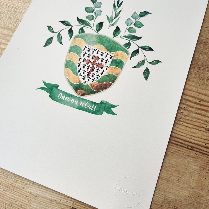 32 Irish County Coat of Arms County Crest Family Crest | Etsy