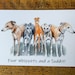 Funny Whippet Card Whippets Whippet Card Whippet Owners | Etsy