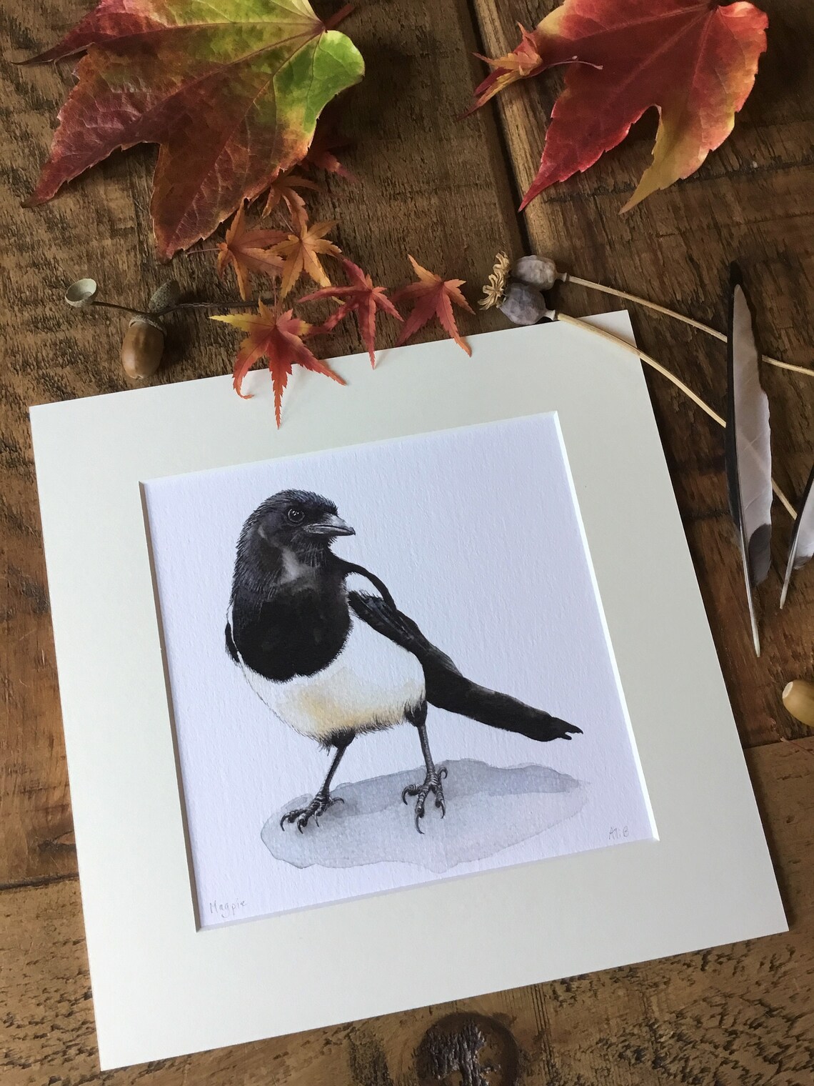 Magpie print Magpie art bird art Magpie watercolour bird | Etsy