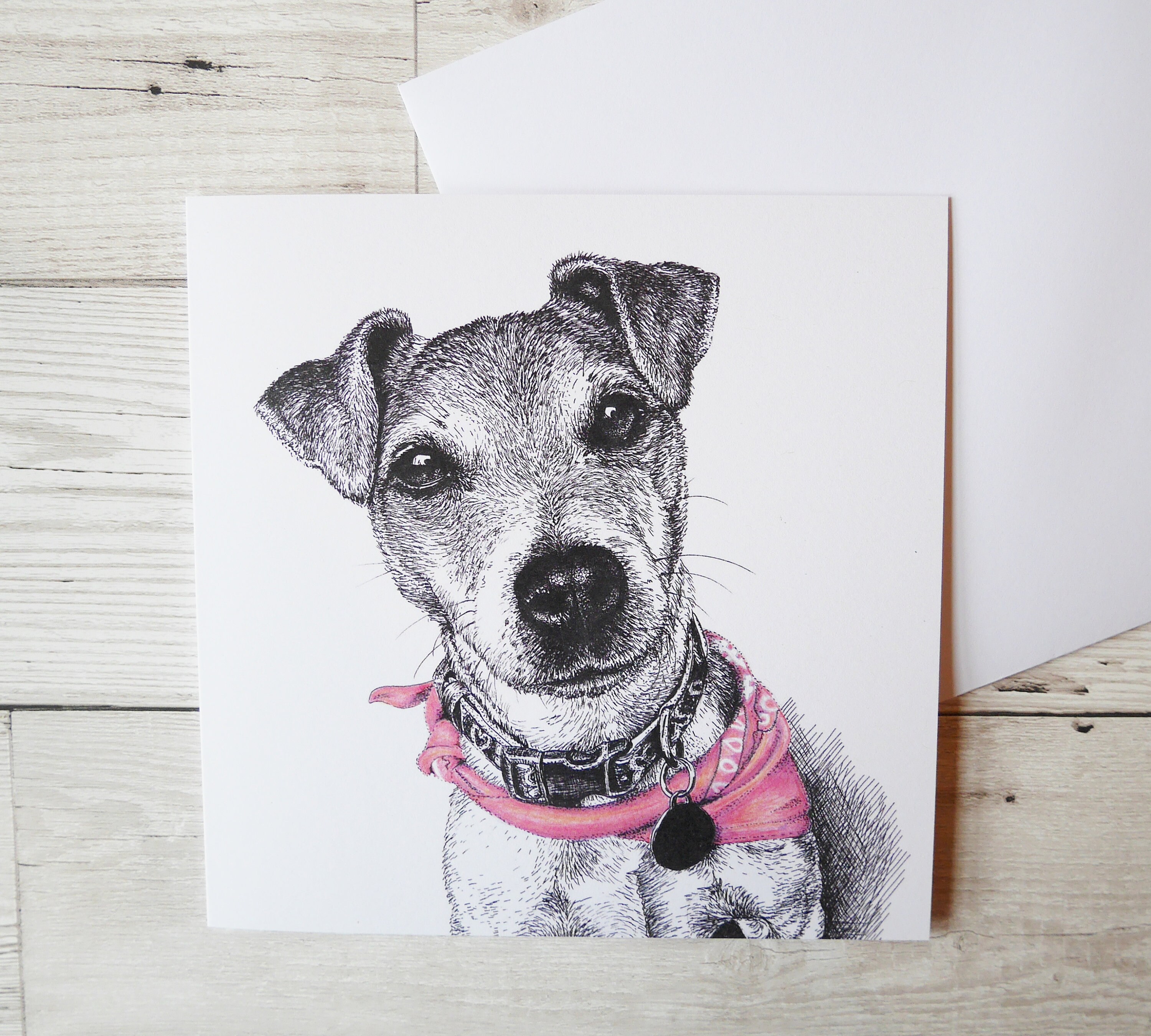 Jack Russell, Jack Russell Terrier, Terrier, Jack Russell Card, Terrier ...