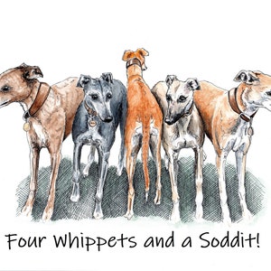 Funny Whippet Card, Whippets, Whippet Card, Whippet Owners, Whippet ...