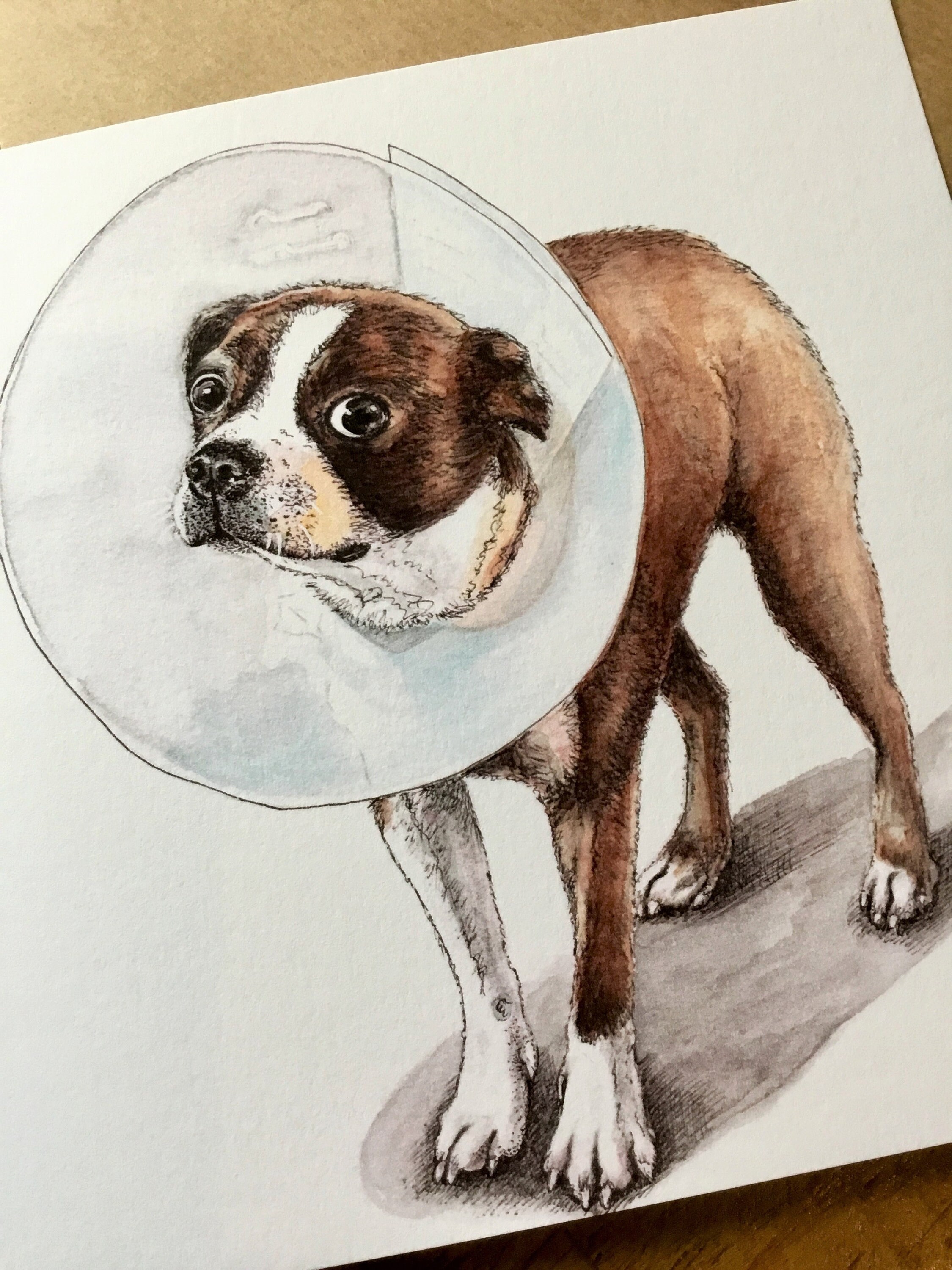 Little Miss Clumsy get well soon vets vet trip poorly dog | Etsy