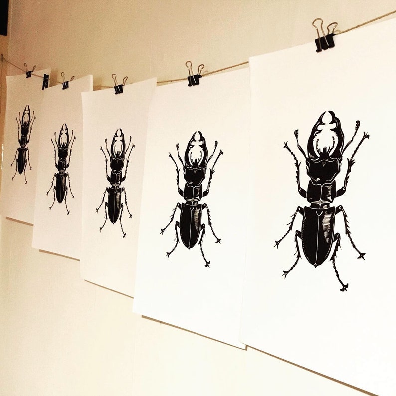 Beetle Linocut Beetle Lino Print Original Beetle Art Stag - Etsy UK