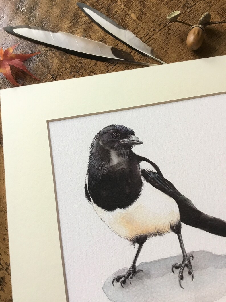 Magpie Print Magpie Art Bird Art Magpie Watercolour Bird - Etsy UK