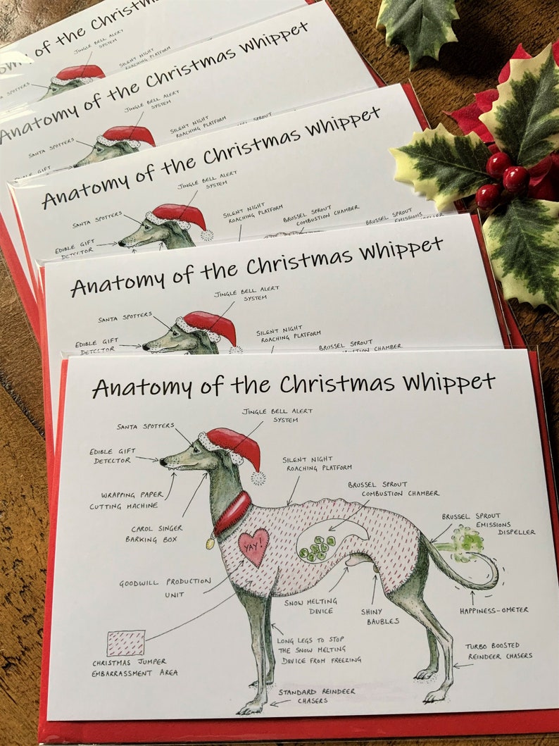 Pack of Five Whippet Christmas Cards, Whippet Christmas Cards, Whippet ...