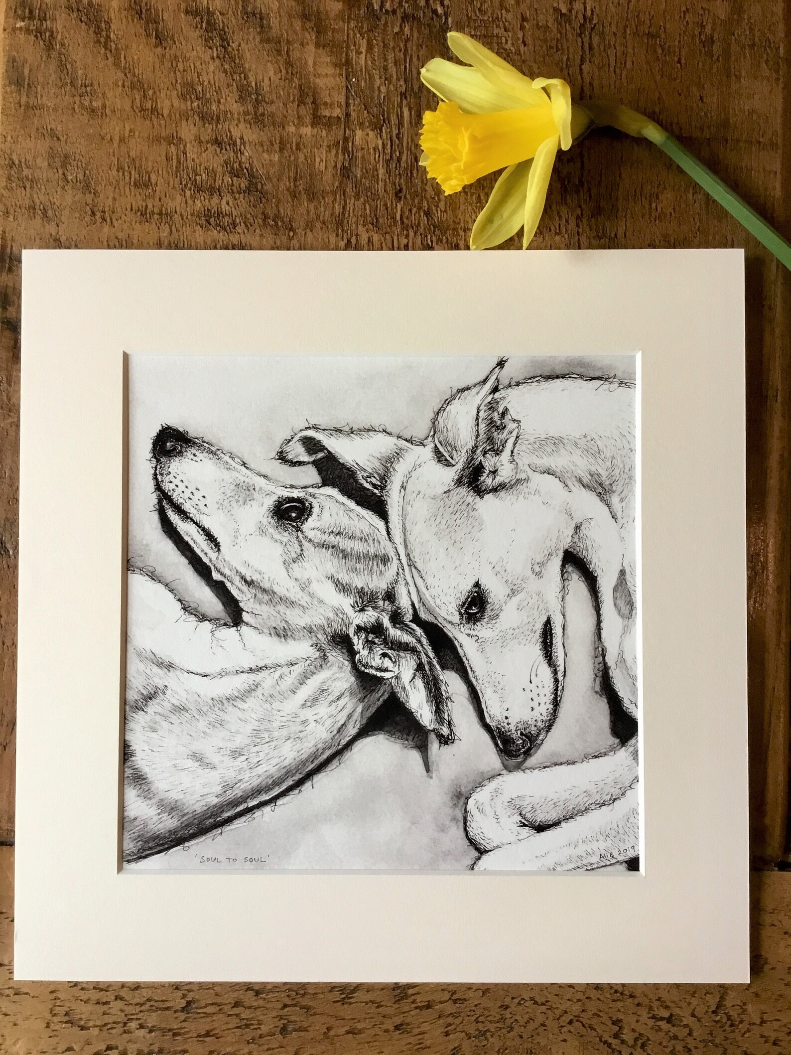 Whippet Print, Whippet Art, Whippet Painting, Giclee Whippet, Lurcher ...
