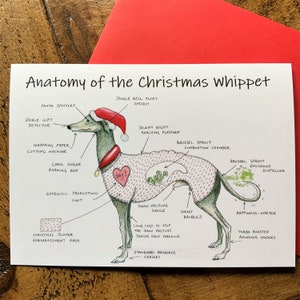 Whippet Christmas Card, Whippet Card, Whippet Xmas Card, Whippet ...