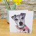 Jack Russell, Jack Russell Terrier, Terrier, Jack Russell Card, Terrier ...