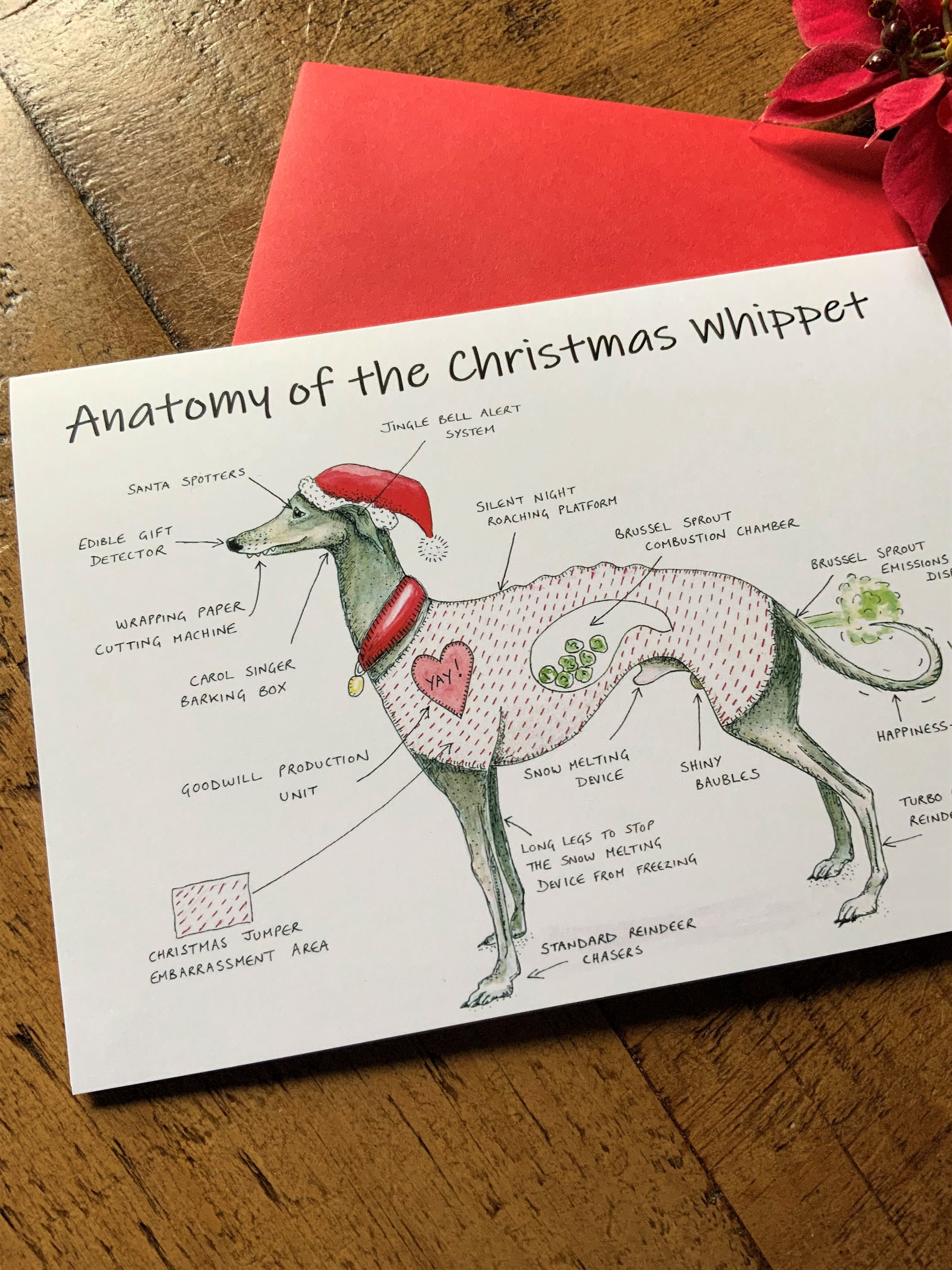 Whippet Christmas Card, Whippet Card, Whippet Xmas Card, Whippet ...