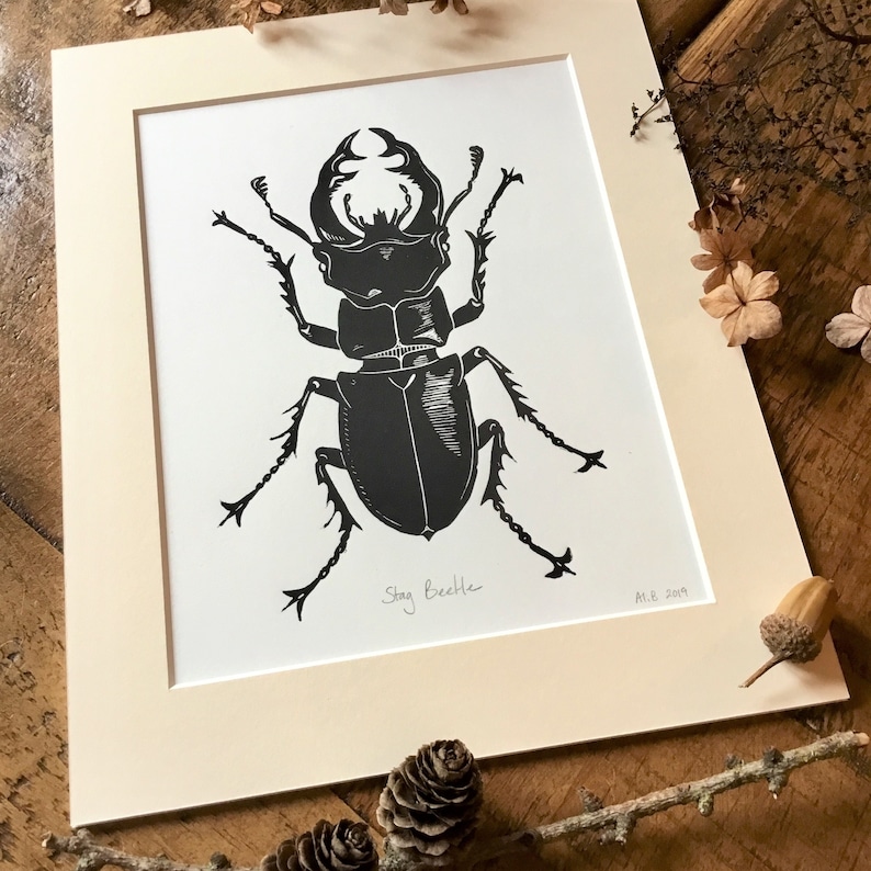 Beetle Linocut Beetle Lino Print Original Beetle Art Stag - Etsy