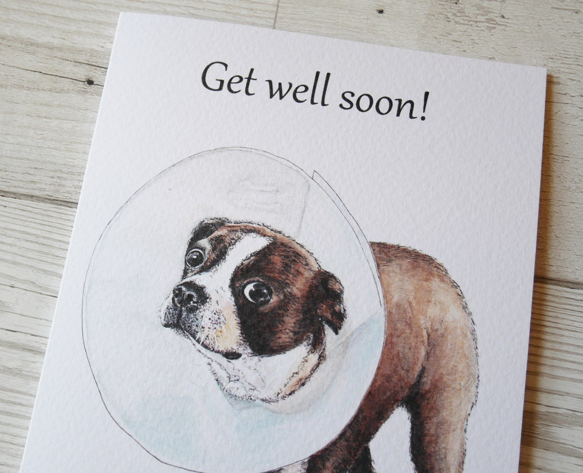 Dog Get Well Soon Card Get well soon Funny get well soon | Etsy