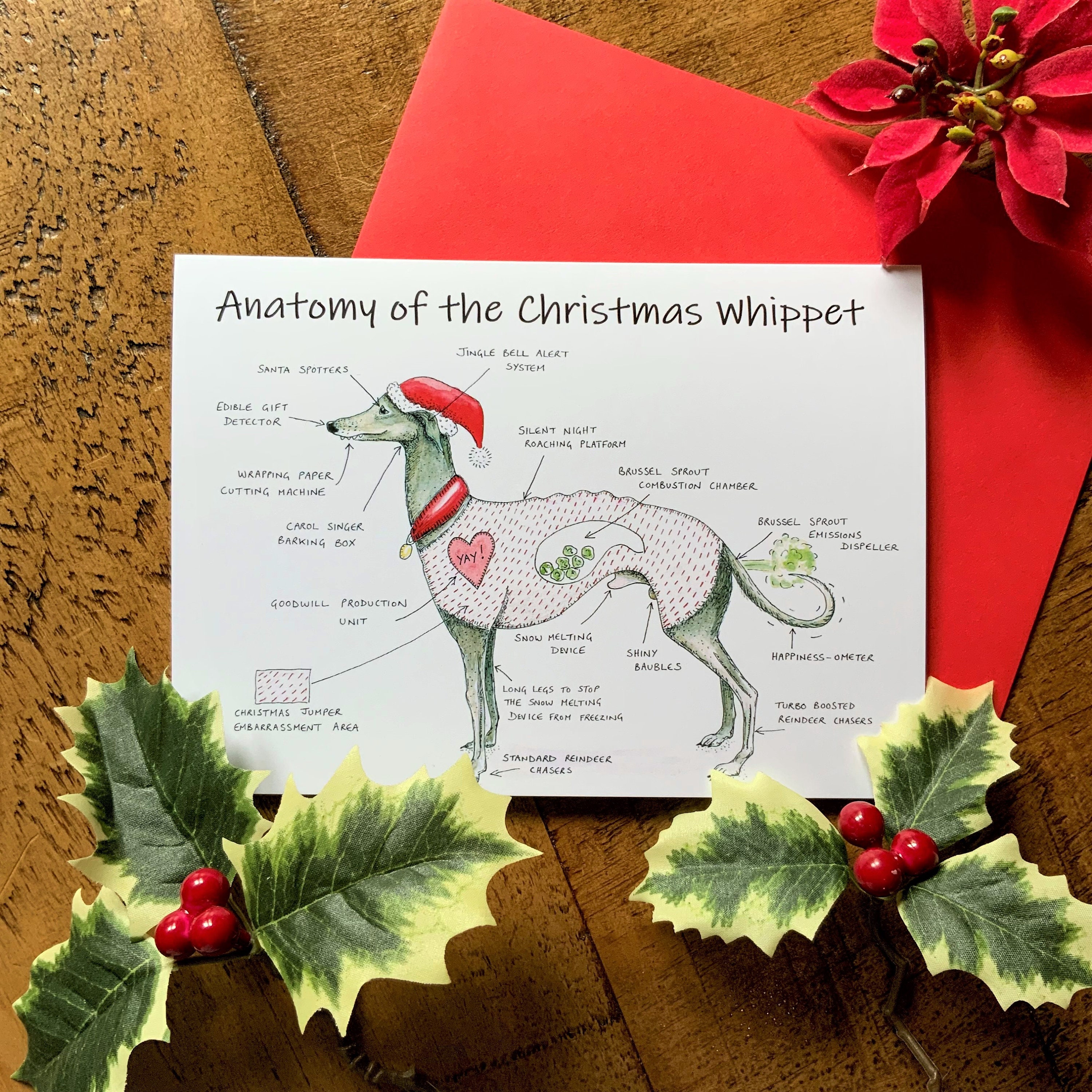 Pack of Five Whippet Christmas Cards, Whippet Christmas Cards, Whippet ...