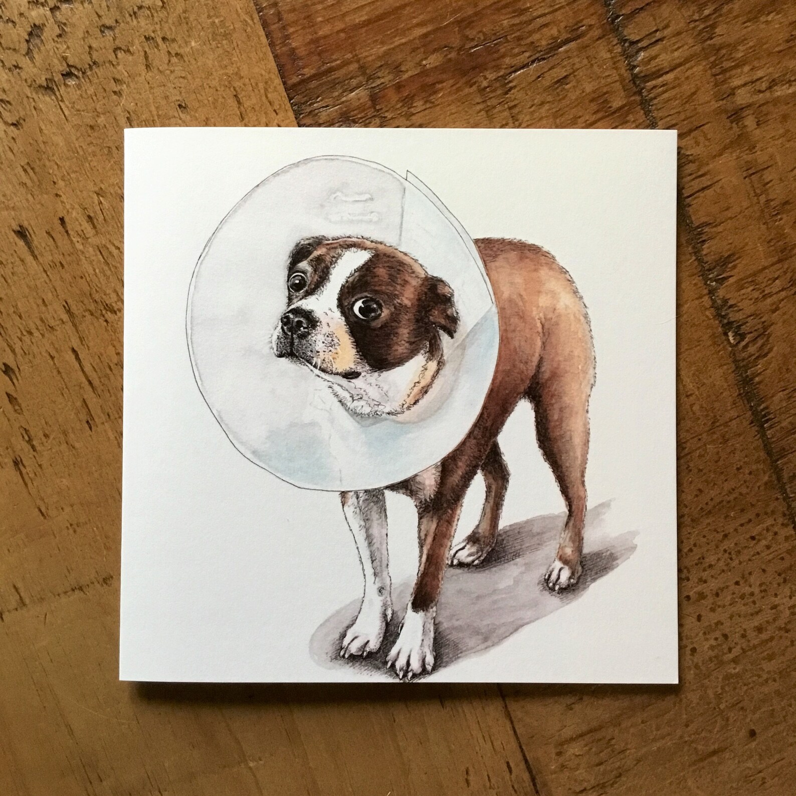 Little Miss Clumsy get well soon vets vet trip poorly dog | Etsy