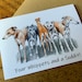 Funny Whippet Card, Whippets, Whippet Card, Whippet Owners, Whippet ...
