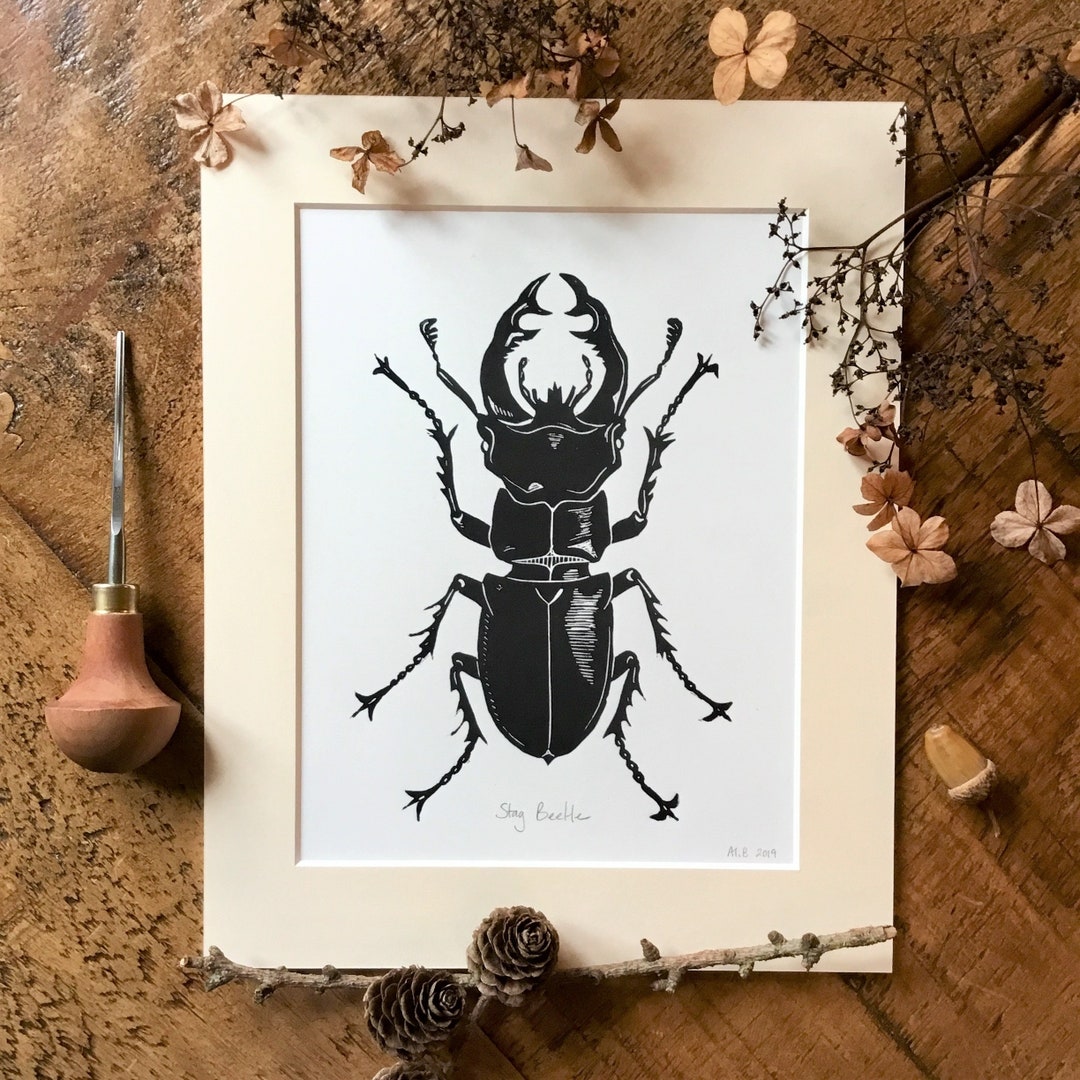 Beetle Linocut, Beetle Lino Print, Original Beetle Art, Stag Beetle ...