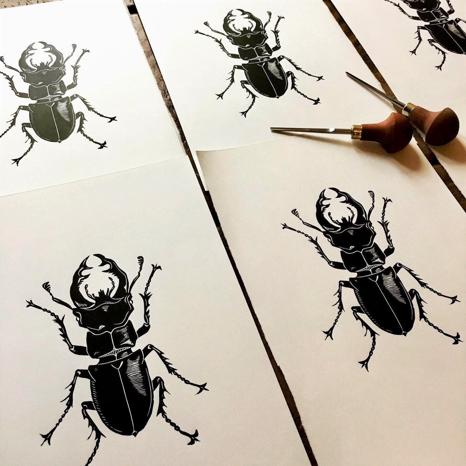 Beetle Linocut Beetle Lino print Original Beetle art Stag | Etsy