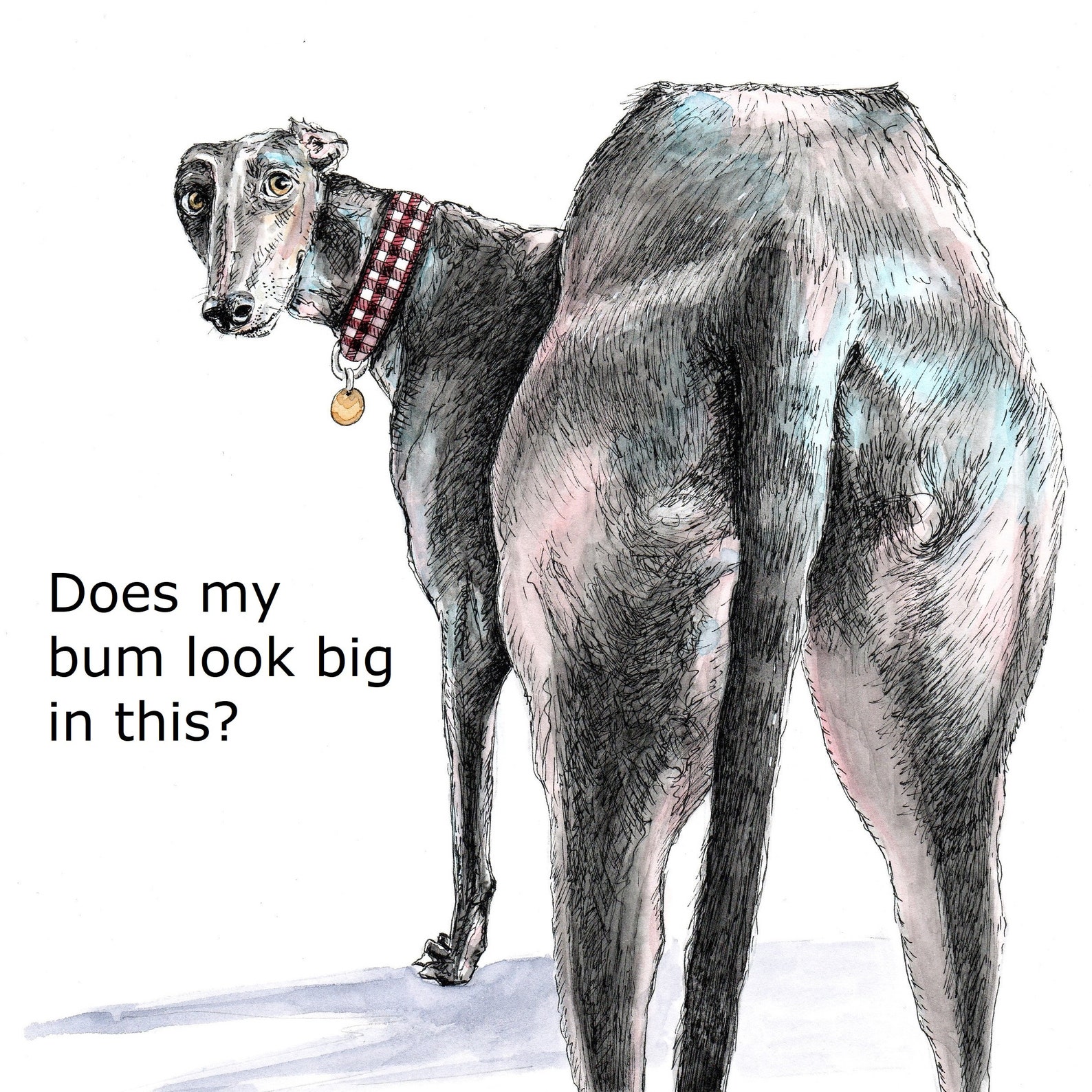 Does My Bum Look Big Greyhound Card Funny Greyhound Card Humorous