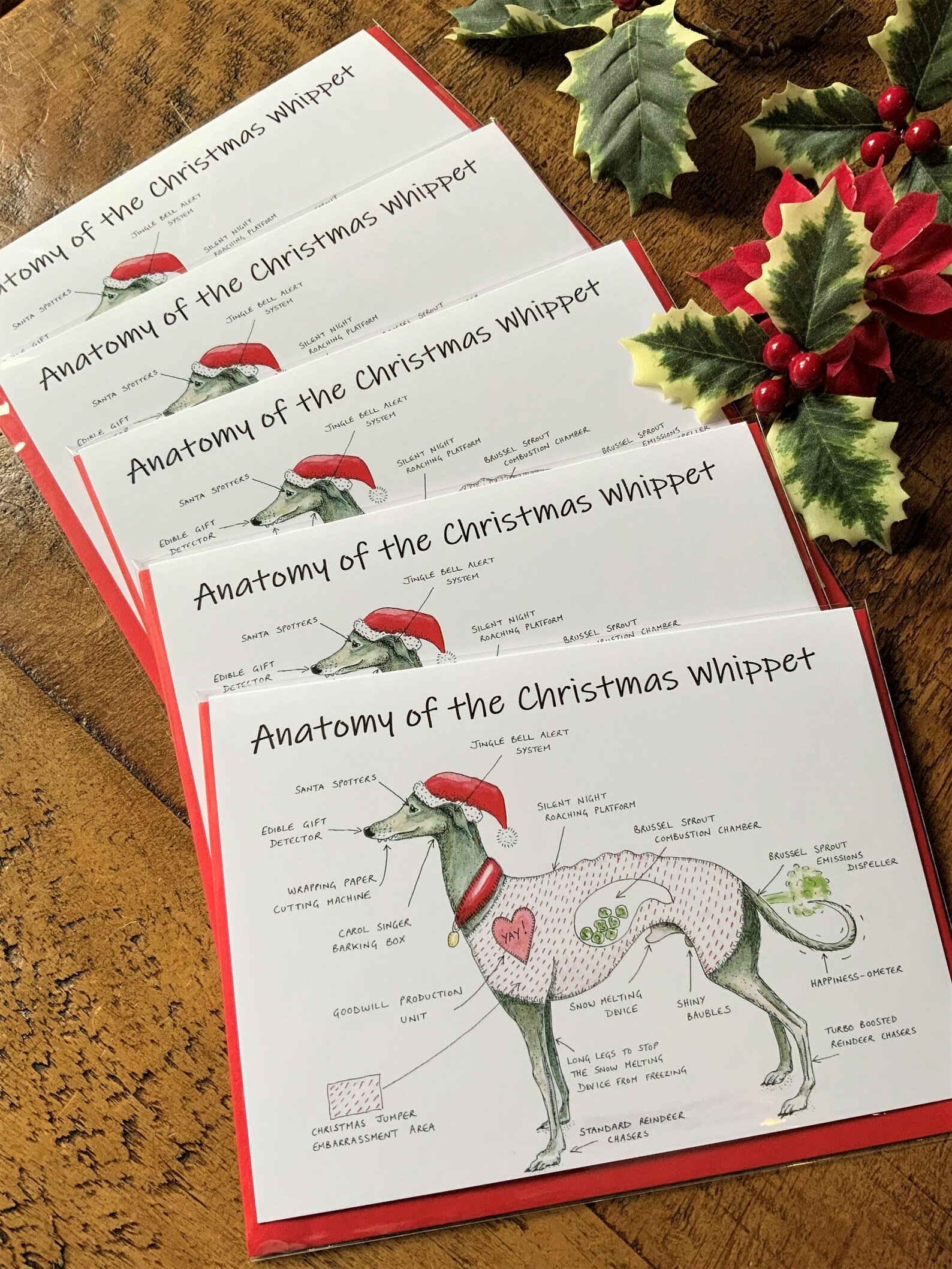 Pack of Five Whippet Christmas Cards, Whippet Christmas Cards, Whippet ...