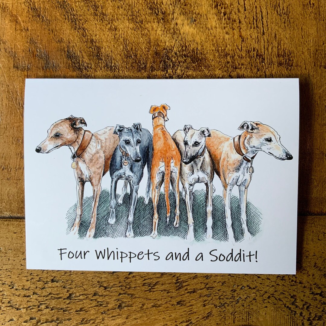 Funny Whippet Card, Whippets, Whippet Card, Whippet Owners, Whippet ...
