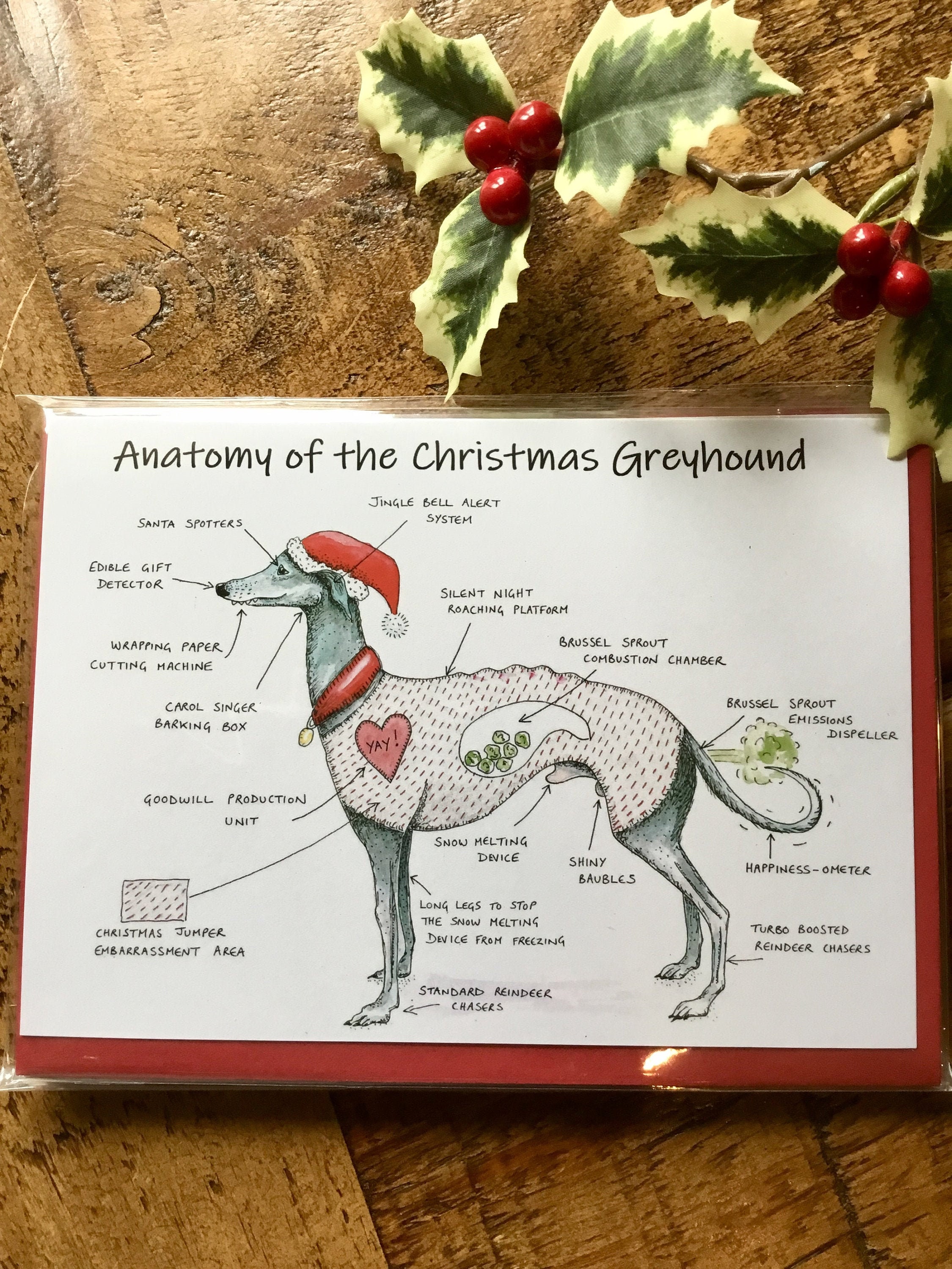 Pack of Five Greyhound Christmas Cards, Funny Greyhound Christmas Card ...